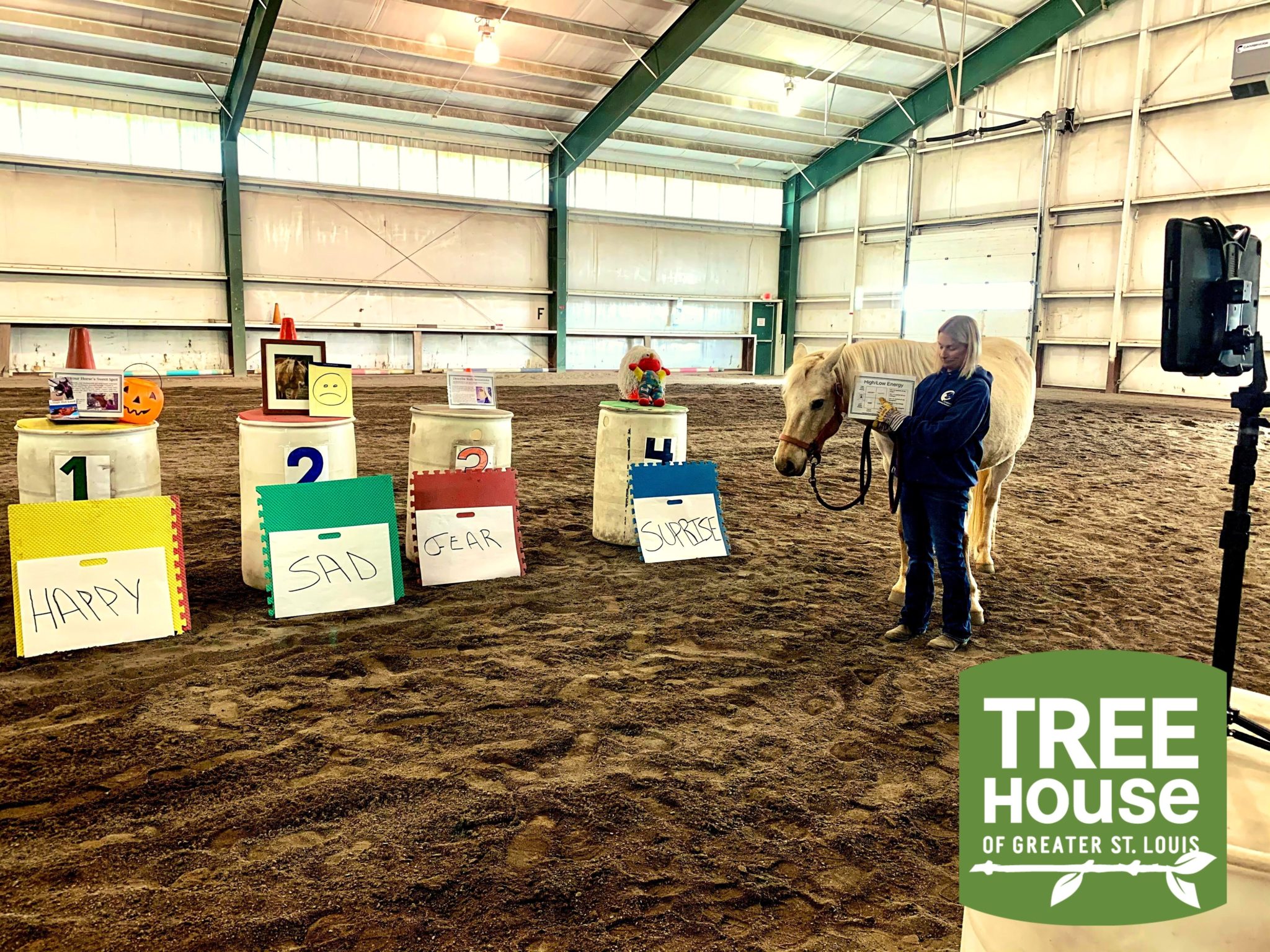 Services – TREE House of Greater St. Louis